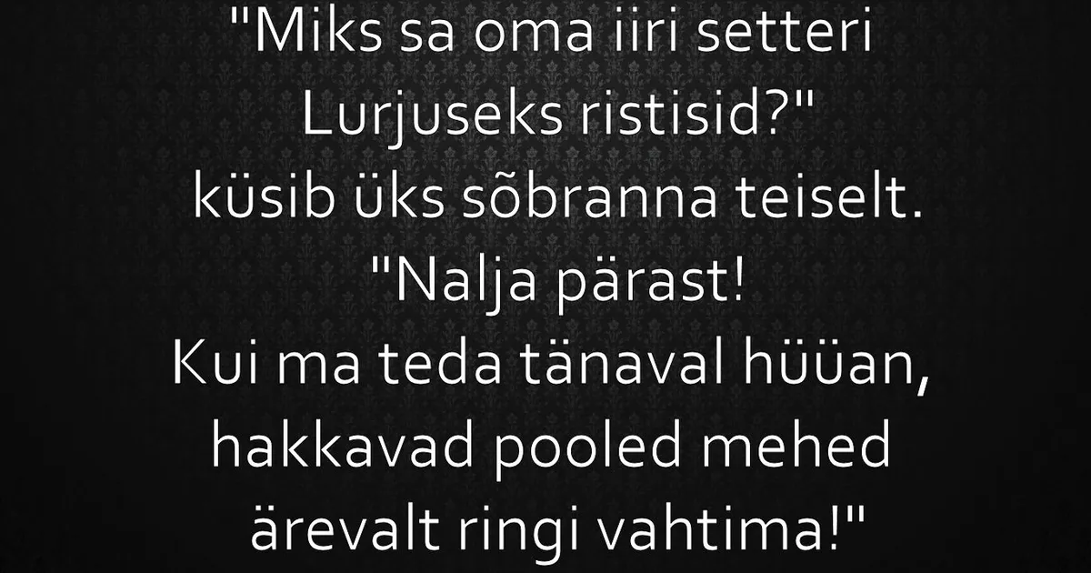 Miks Sa Oma Iiri Setteri Lurjuseks Ristisid