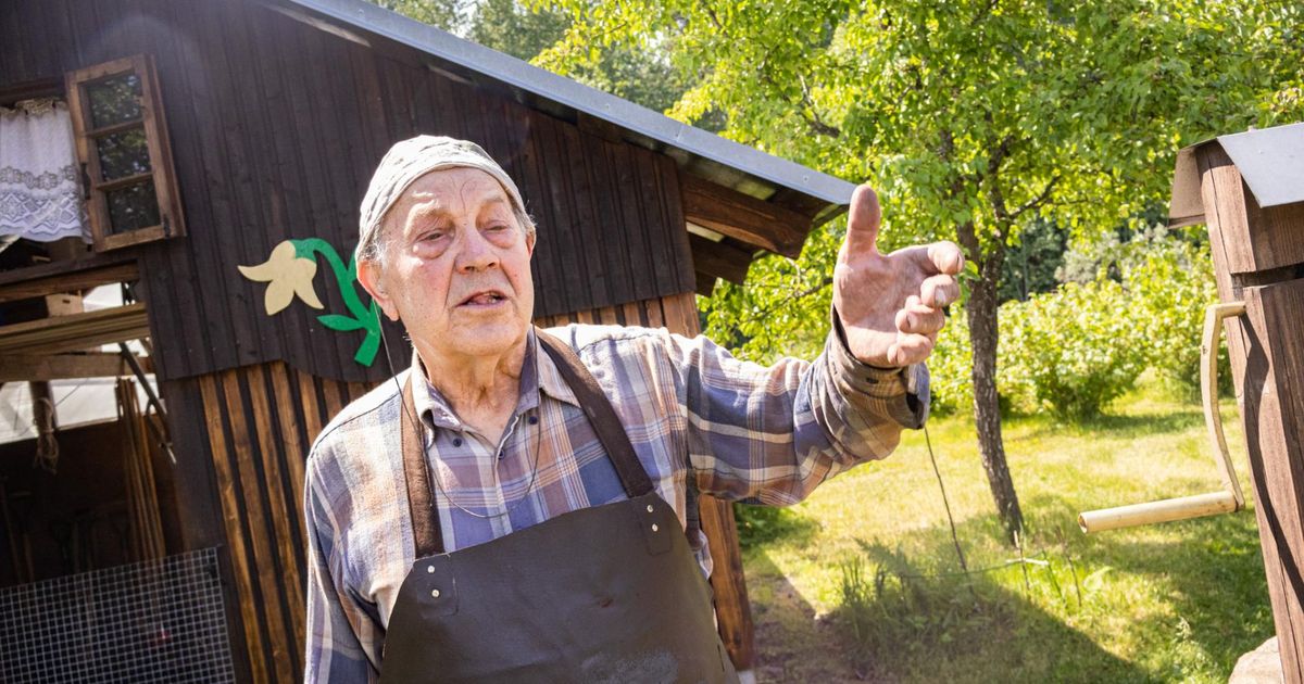 VIDEO 80aastane sepp Jaan rügab tihtipuhku hiliste õhtutundideni