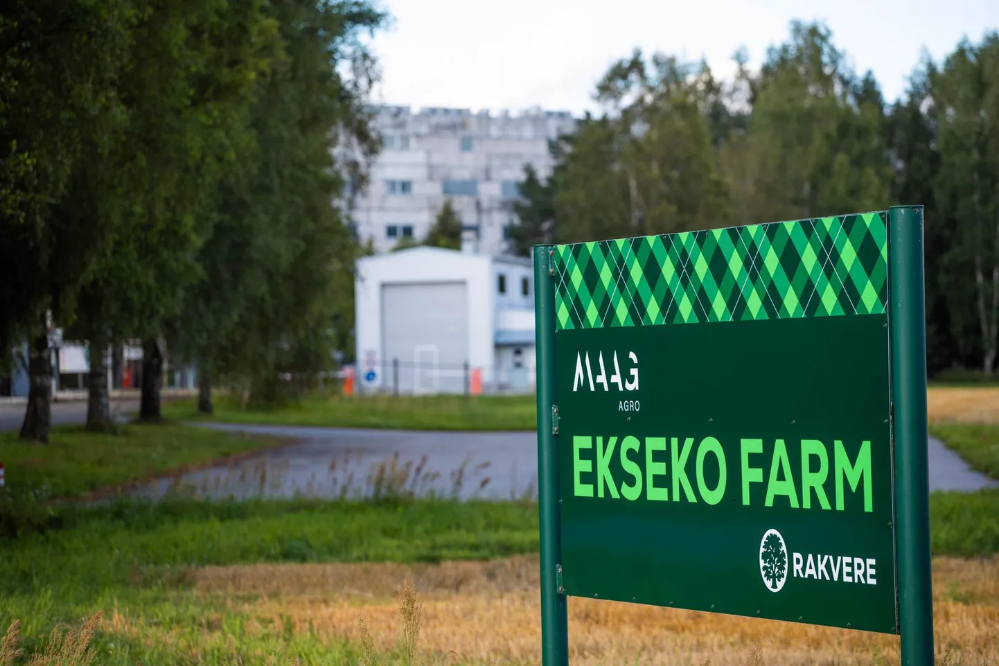 ASF detected at Estonia's largest pig farm, 28,500 animals to be culled