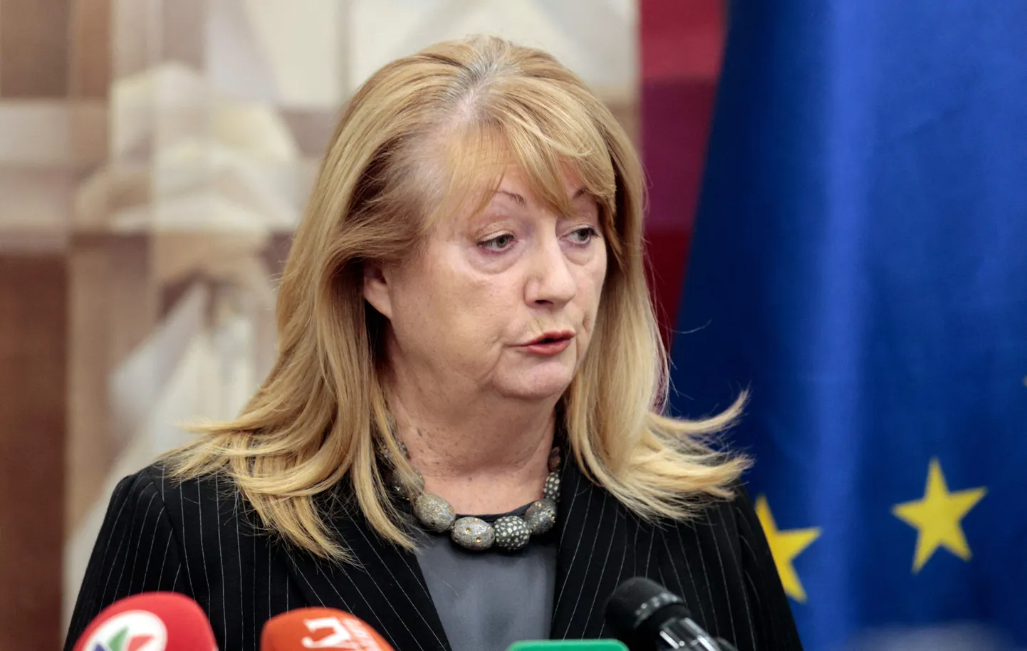 Krasi sarucis Lietuvas sociāldemokrātu līderes Blinkevičūtes reitings ...