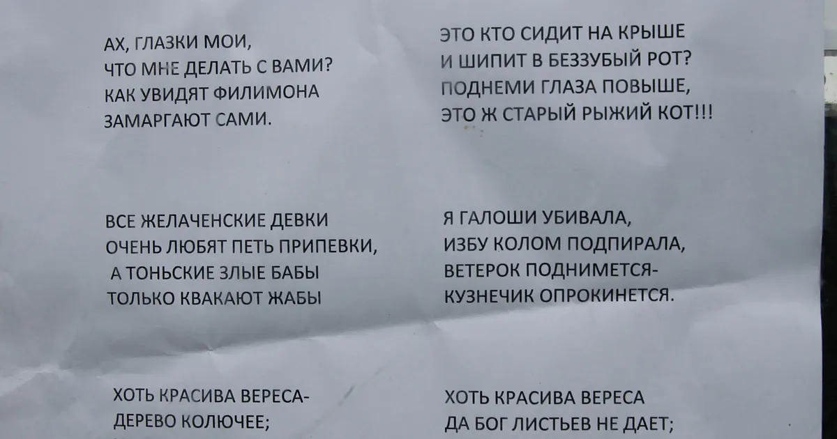 Folkloor ei sure: rahvalaulik klaarib Piirissaarel arveid