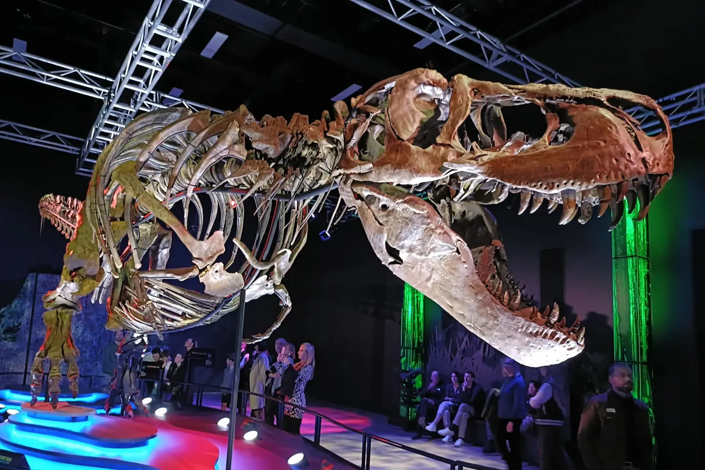 Loe kuidas T-Rex tegelikult elas ja millega Jurassic Parki film mööda pani