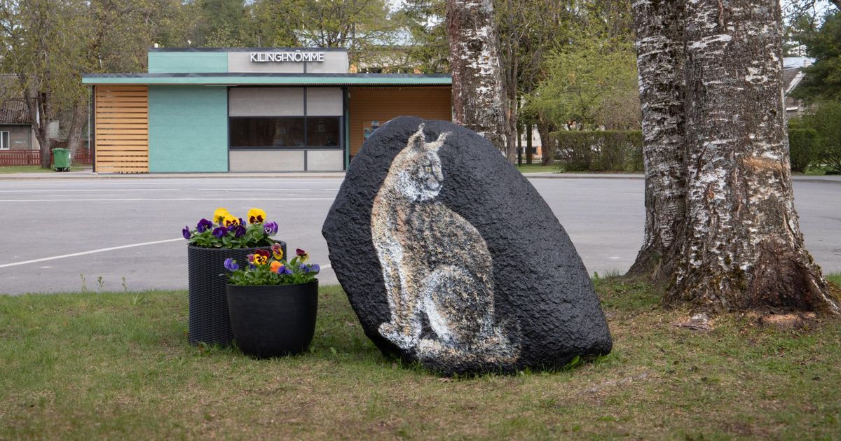 Väikelinna bussijaamas istub kivil metskass