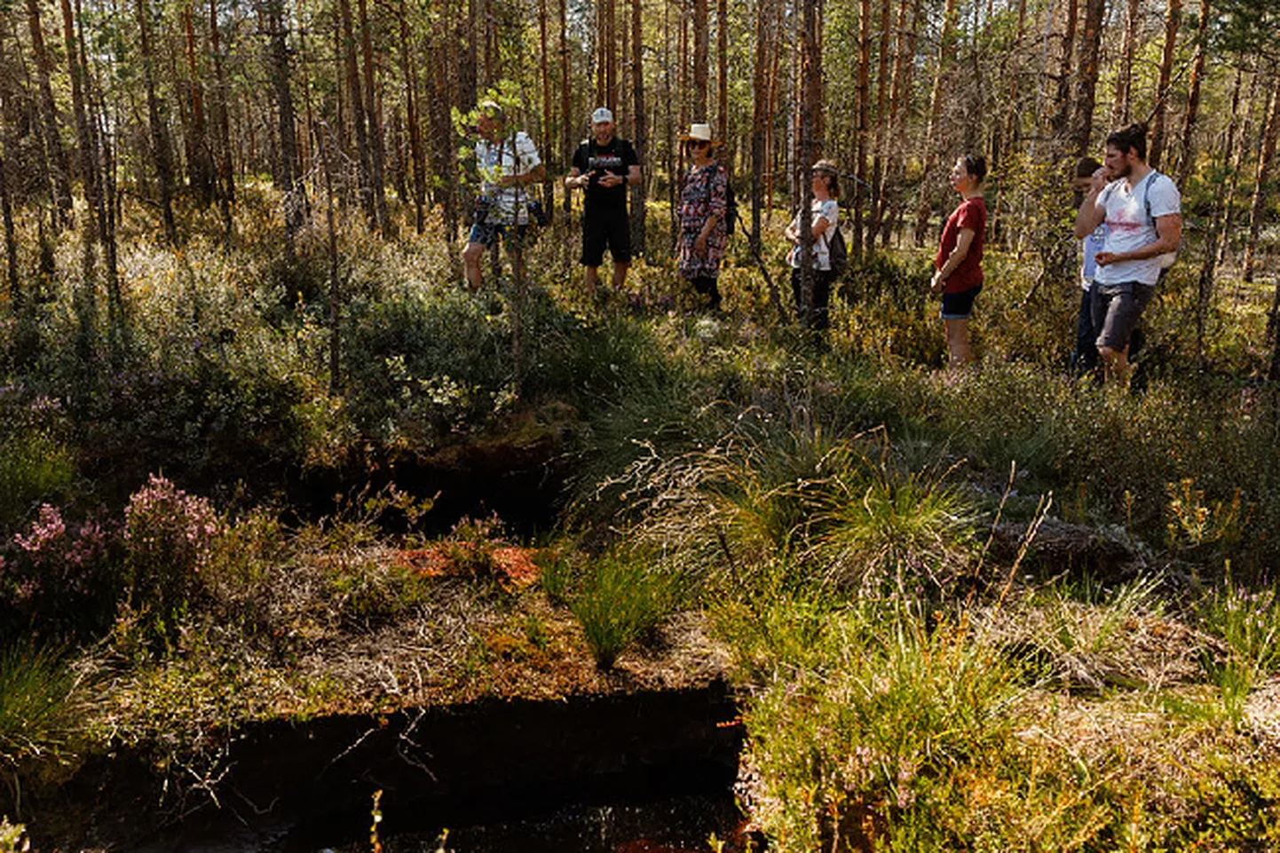 Antsla vallas toimub Eesti looduse päeva puhul kaks matka