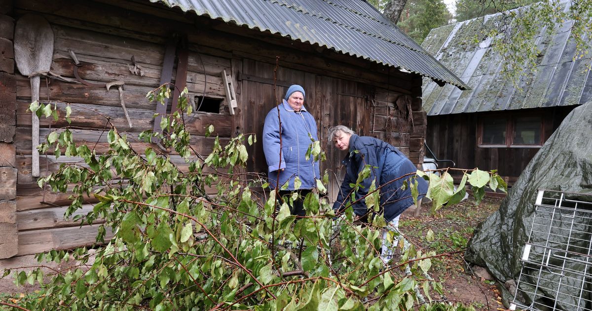lõuna regioon - Postimees: Värsked uudised Eestist ja välismaalt