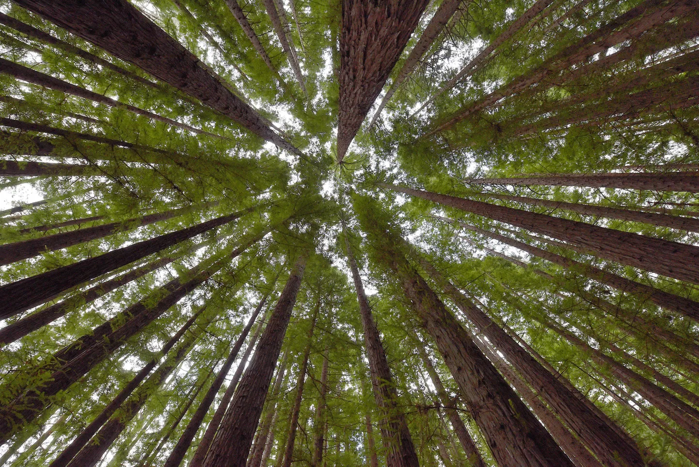POLITSEI UURIB JÕHKRAT KURITEGU Kannatanu veeti metsa, peksti läbi ja ...