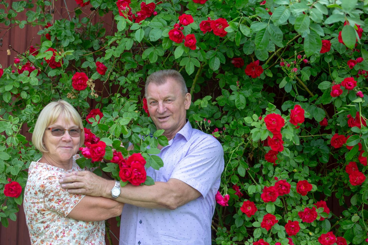 Sadamad elavad direktorite majas