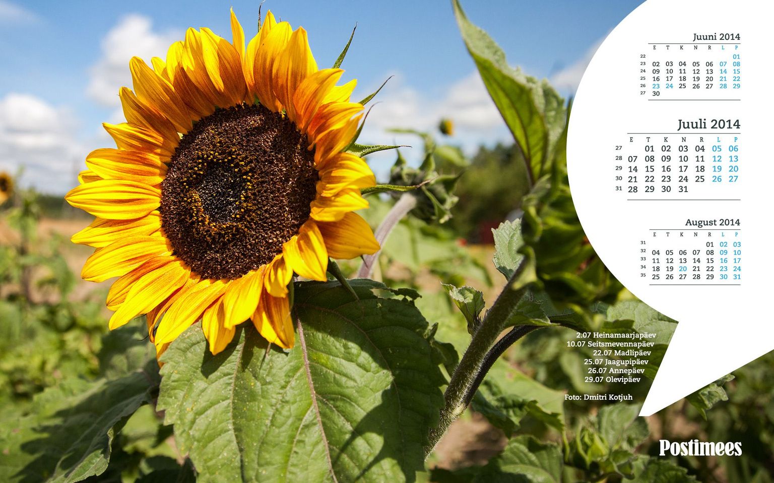 Juuli kalender - Kalender - Postimees: Värsked uudised Eestist ja ...