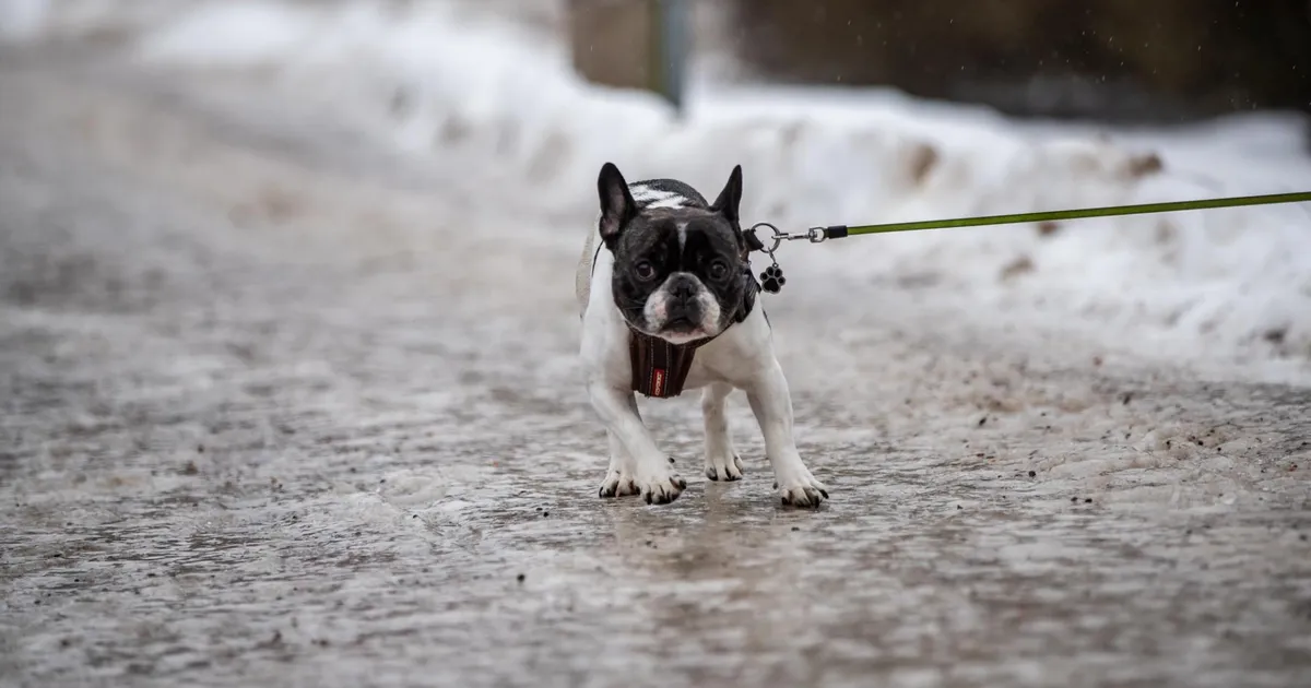 LIBEDUS LÖÖB JALAD ALT "Vaagen, käed ja hüppeliigesed on kohad, mis ...