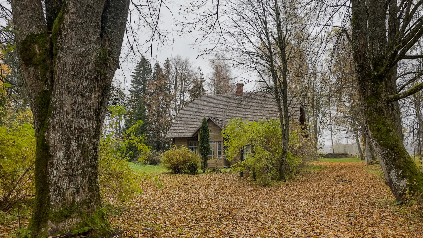 AK KIRJANDUSKOOL Rein Sepp ja tema Üksiklane