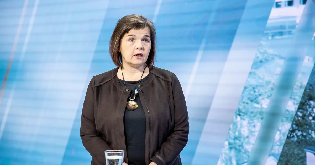 VÄLKVIDEO Merike Hallik: oleksime väga tänulikud, kui lennujaam küsiks ...