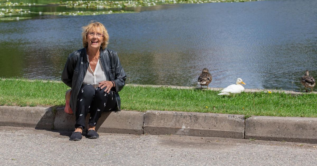 Suurejaanilased nägid Reet Linnat, Reet Linna valget parti