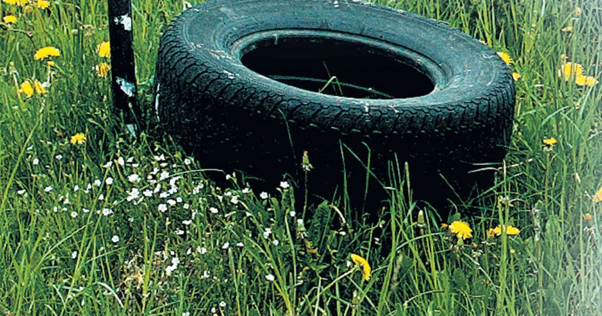 Tähtvere eramaade riigistamisele puudub ammendav seletus