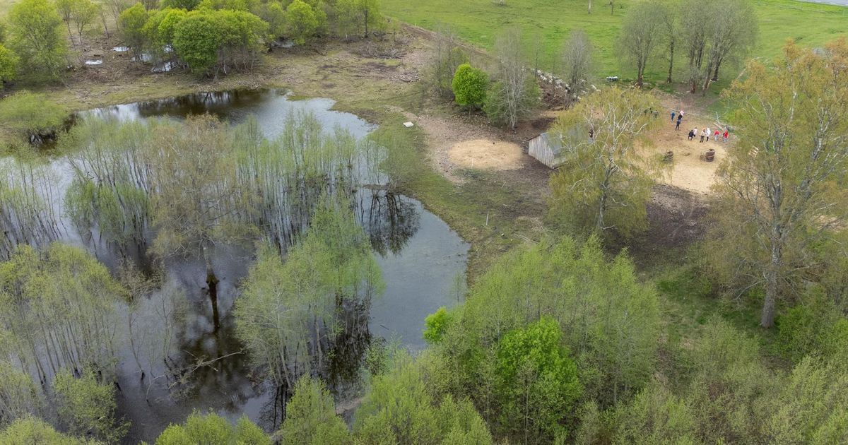 Pandivere põhjavesi kerkis viimaste aastate kõrgeimale tasemele