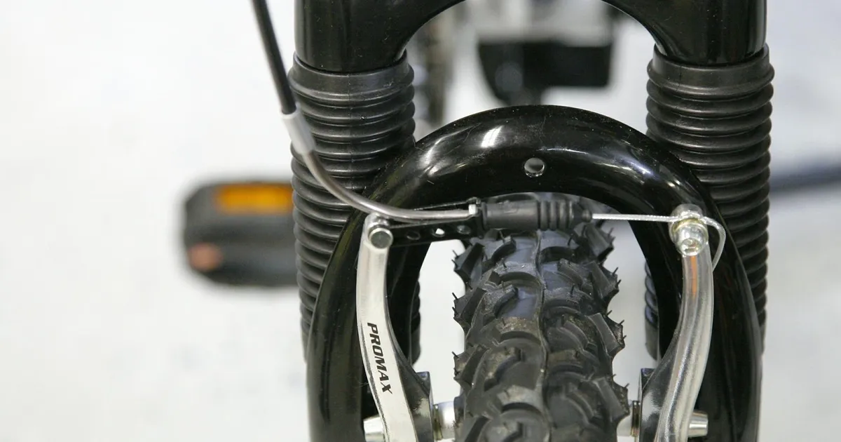 Vargad viisid elektritõuke- ja jalgratta