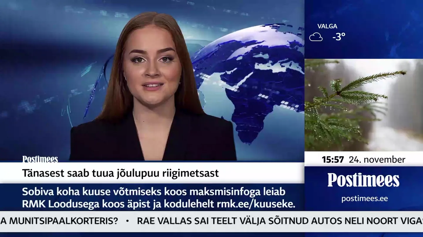 POSTIMEHE TELEUUDISED Tänasest saab tuua jõulupuu riigimetsast