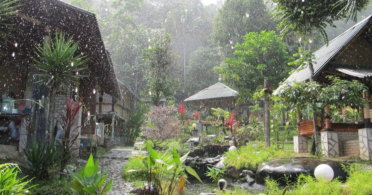 Mahlakas Malaisias ahvidega kraaklemas