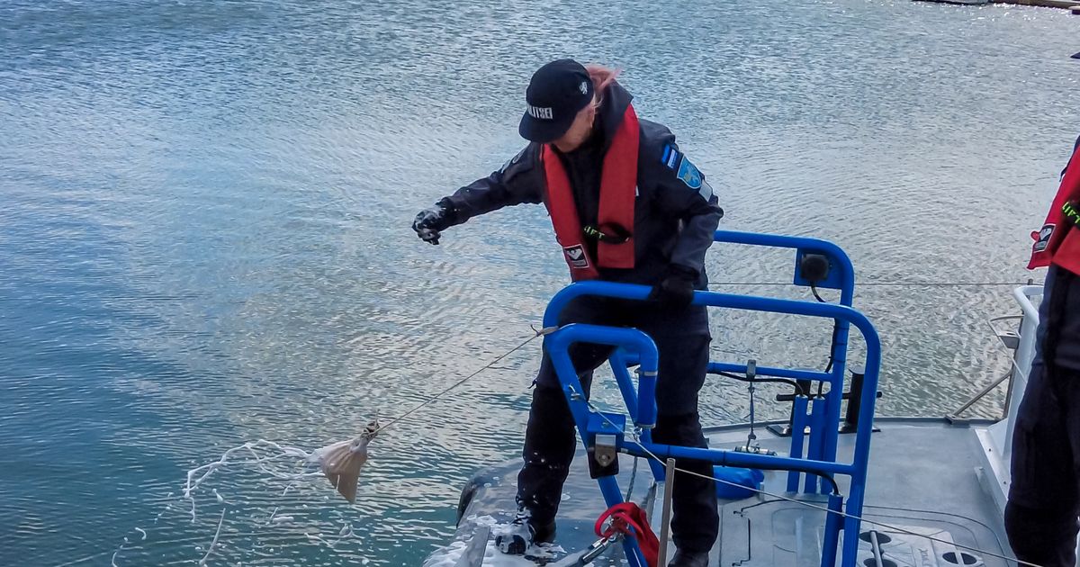 VIDEO Tuule ja Terje said tuulised ristsed