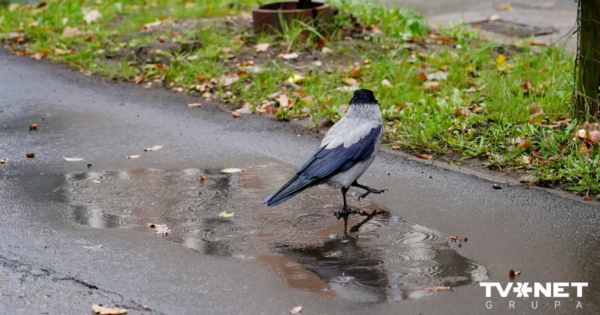 Arī trešdien daudzviet gaidāms lietus