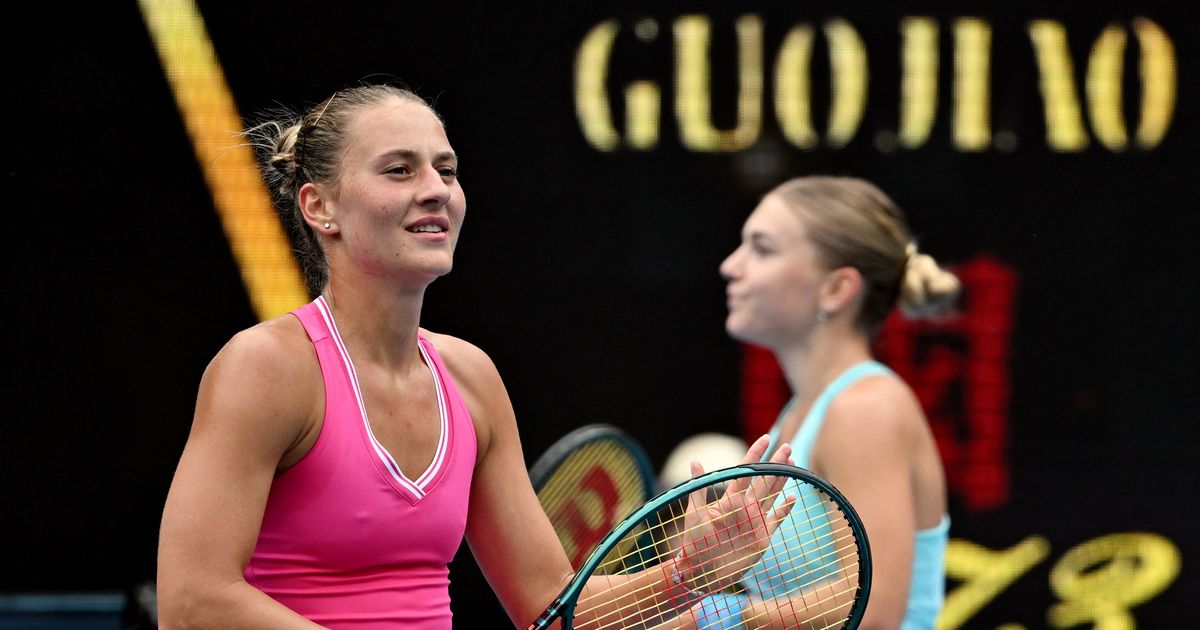 Vene lipp ajas ukrainlanna vihaseks