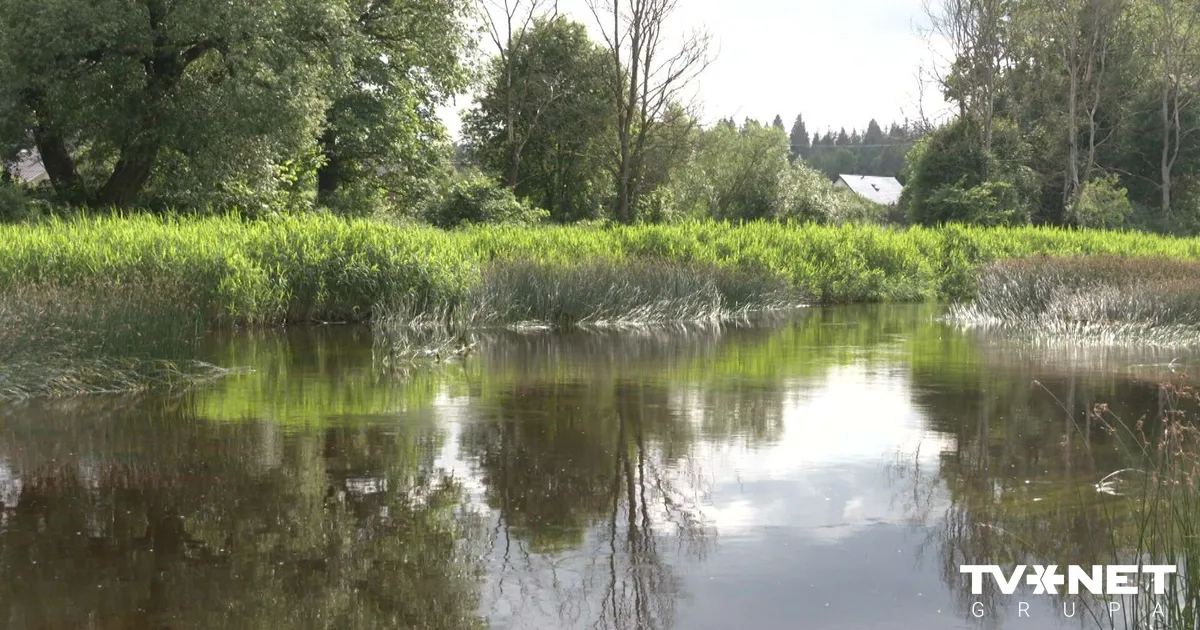 VIDEO "Mēs nezinām, kas tur tā smird!" Ogres iedzīvotājus moka ...