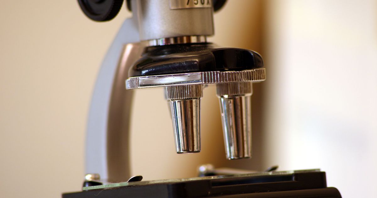 Estonian scientists building a giant microscope