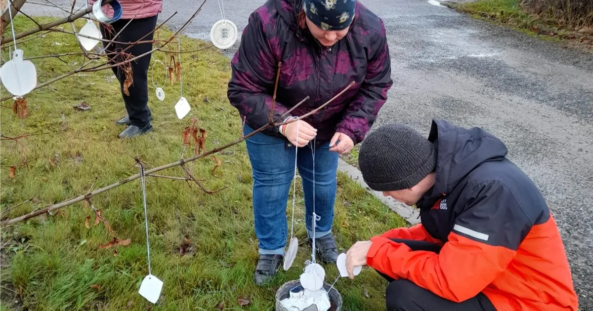 Psüühilise erivajadusega inimesed riputasid Türil puule helkureid