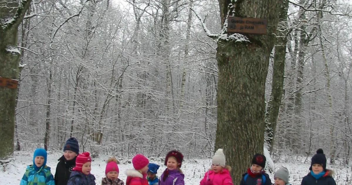Keskkonnaamet: valgustuse rajamisega ei kaasne ebasoodne mõju Vinni ...