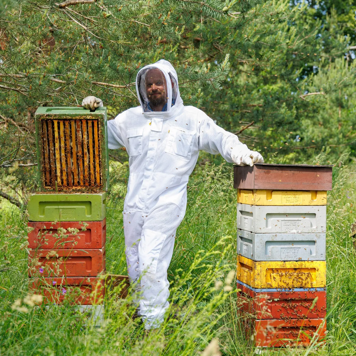 Eesti mesindust ähvardab erakordne kriis