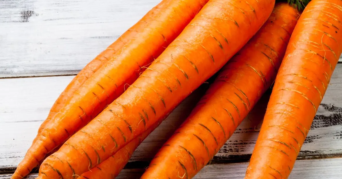 Kolm nippi algajale, kes plaanib aiasaadusi kasvatama hakata