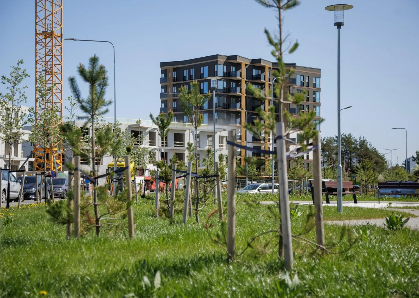 DORIS RAUDSEPP Krooniline probleem linnaplaneerimises tõstab asjatult ...
