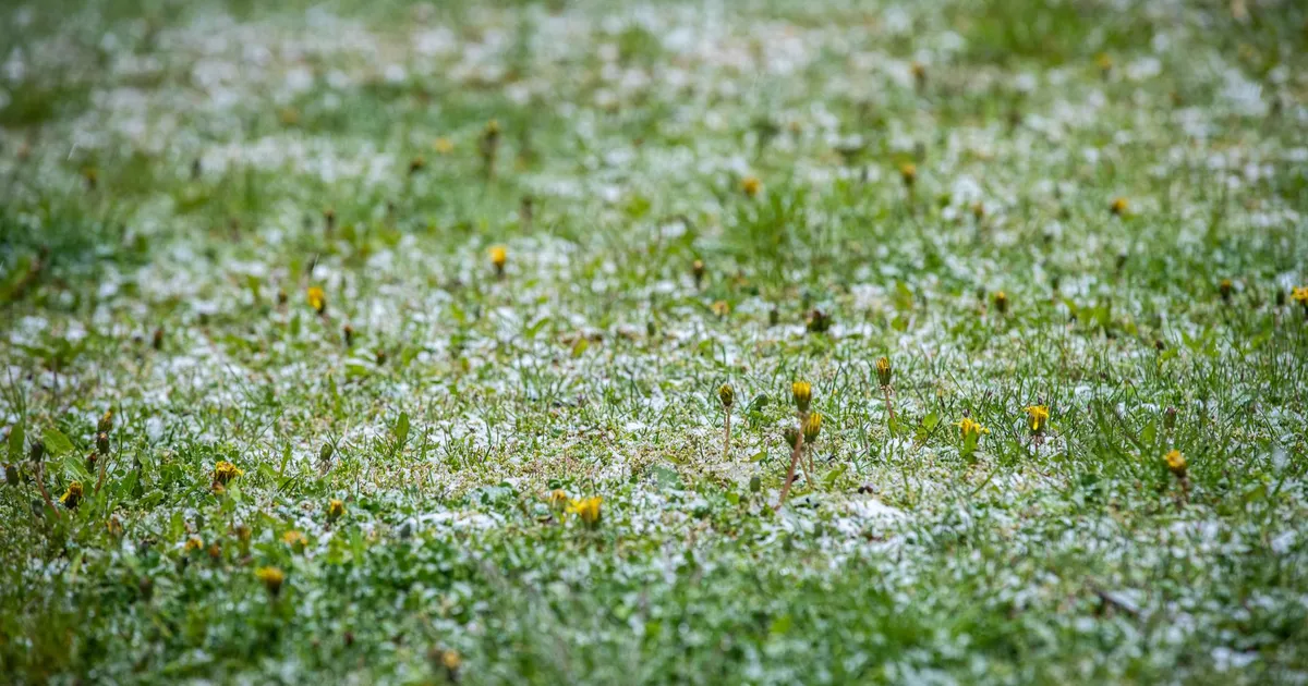 Sademed jõuavad saartelt homme pärastlõunaks Lääne-Virusse