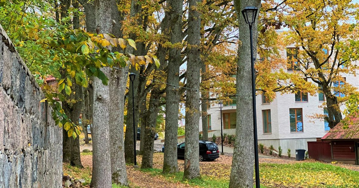 Viljandi Kassisaba tänav sai uue valgustuse