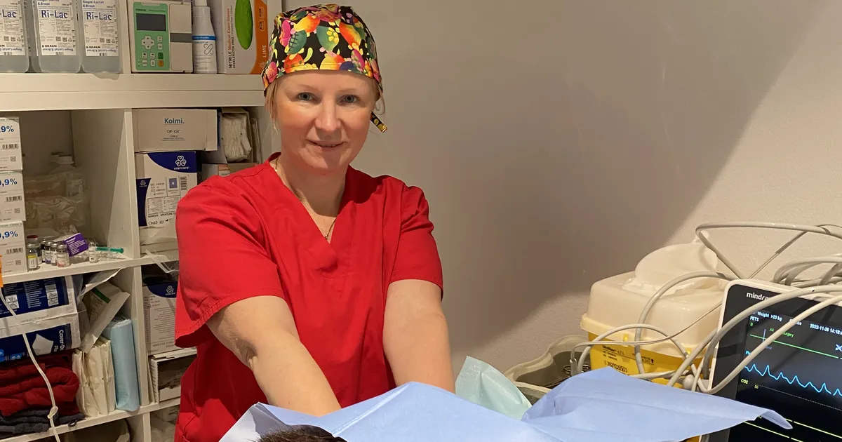 Muhu saab peagi moodsa loomakliiniku