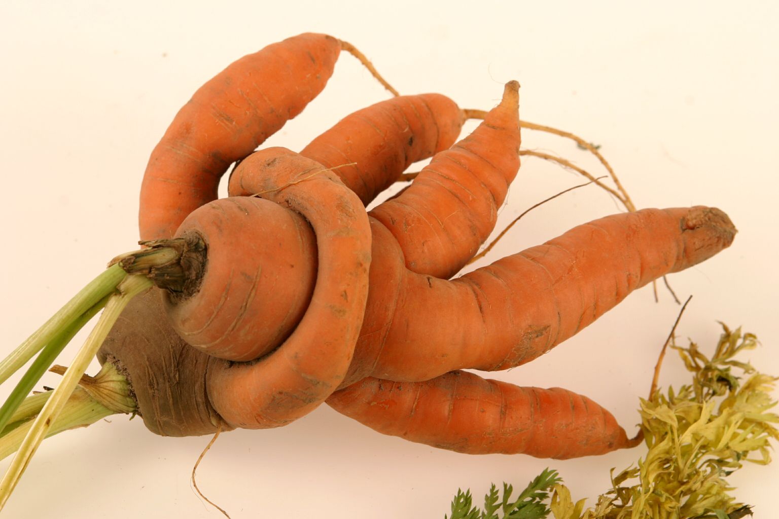 OHTLIKUS KOGUSES TAIMEMÜRKI Eesti poodidest eemaldatakse Egiptuse ...