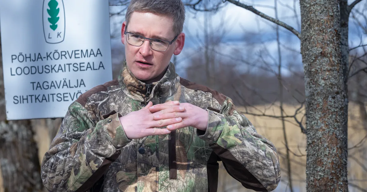 Metsakaitsja, kelle auto rehvid Lahemaal läbi torgati: politsei alustas ...