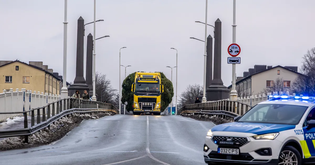 GALERII JA VIDEO Suvepealinna tänavune teine jõulupuu sai Endla ette püsti