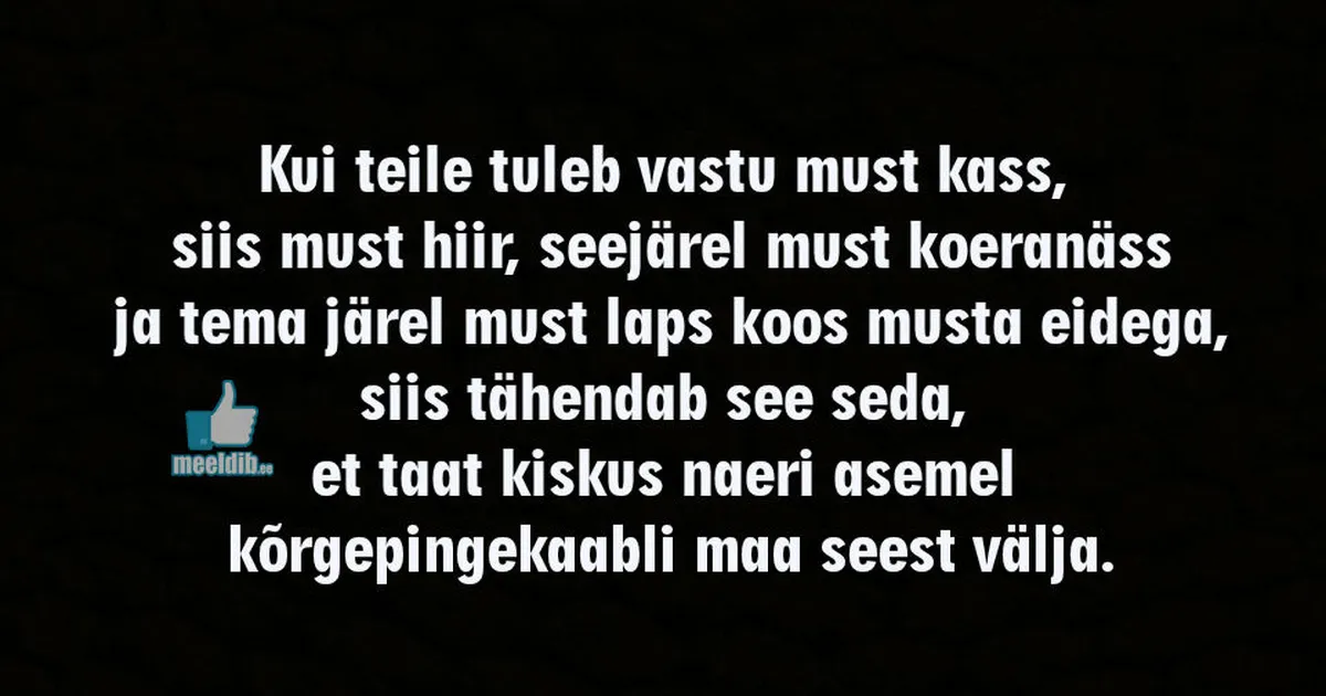 Kui teile tuleb vastu must kass