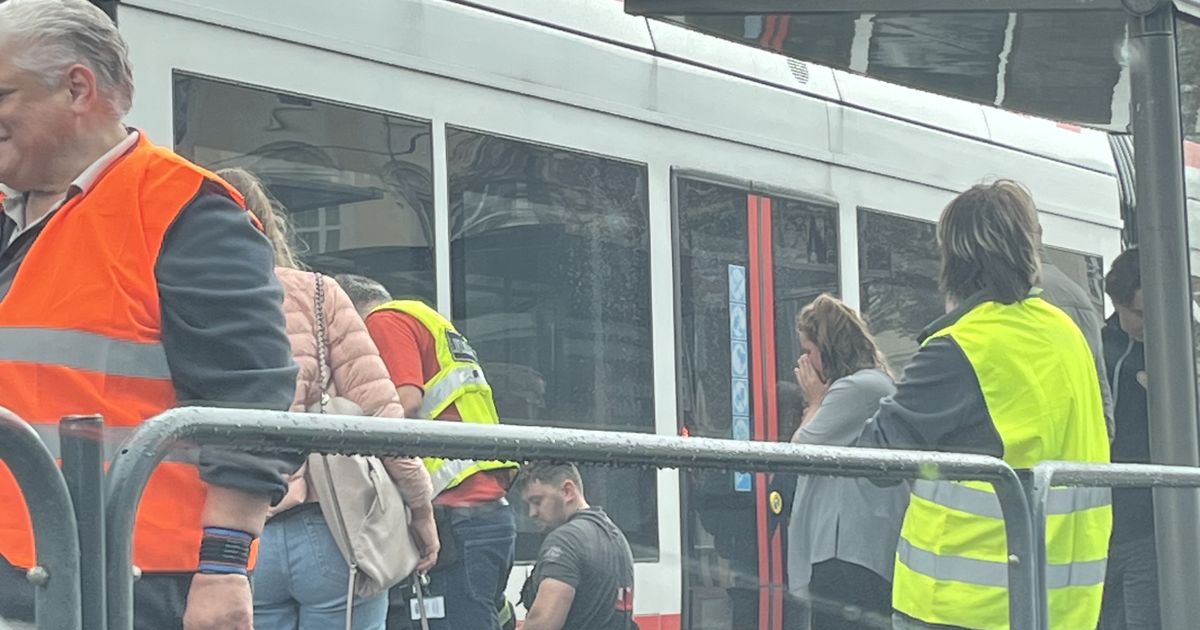 Trammi alla jooksnud kass peatas pooleks tunniks Kopli liini liikluse