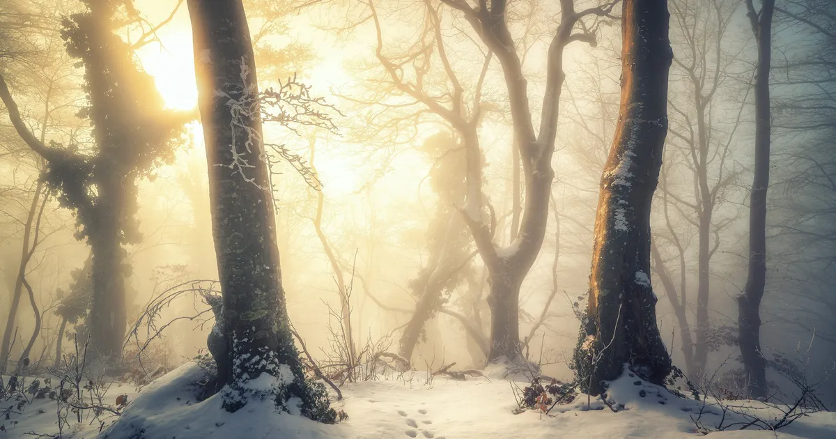 DETSEMBRI HOROSKOOP Kuu teine pool toob paraku väljakutseid: aastalõpp ...