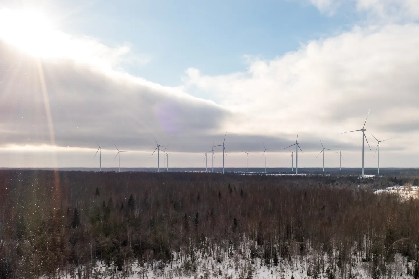 Tuulikute mullune tootlus jäi prognoositule alla