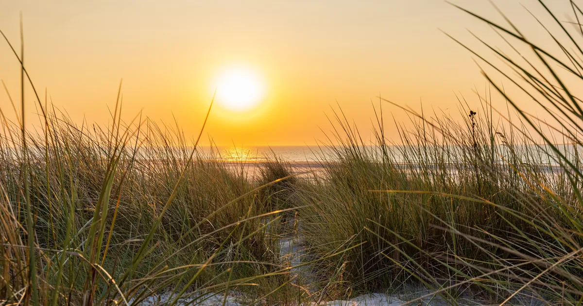 JUULI HOROSKOOP Suve keskpaik toob aasta kõige intensiivsema täiskuu ...