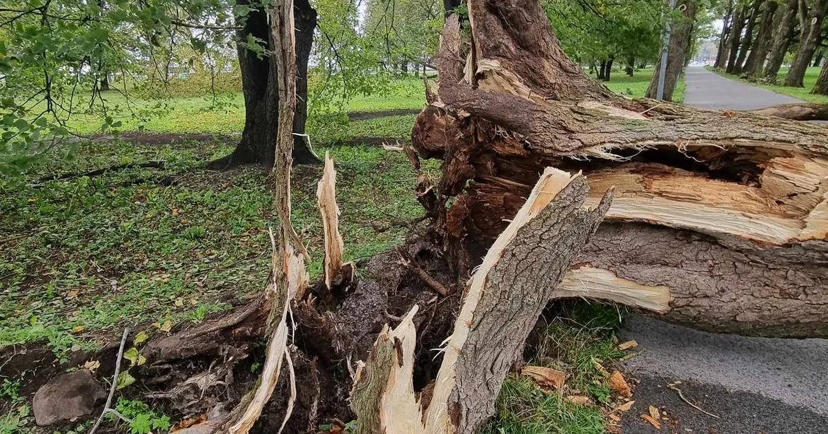 Nädala teine pool kujuneb taas tormiseks