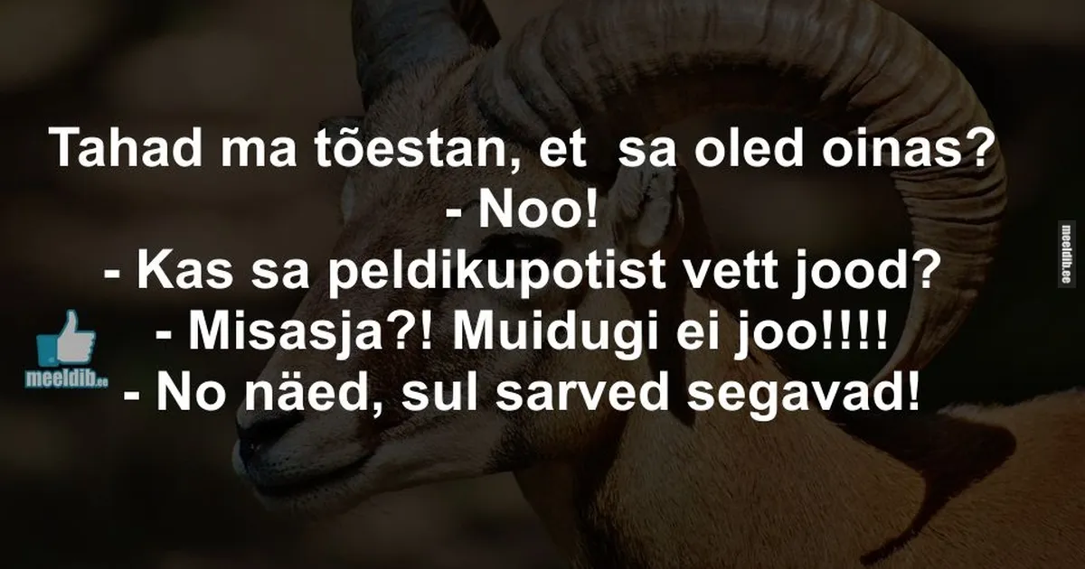 Tahad ma tõestan, et sa oled oinas?