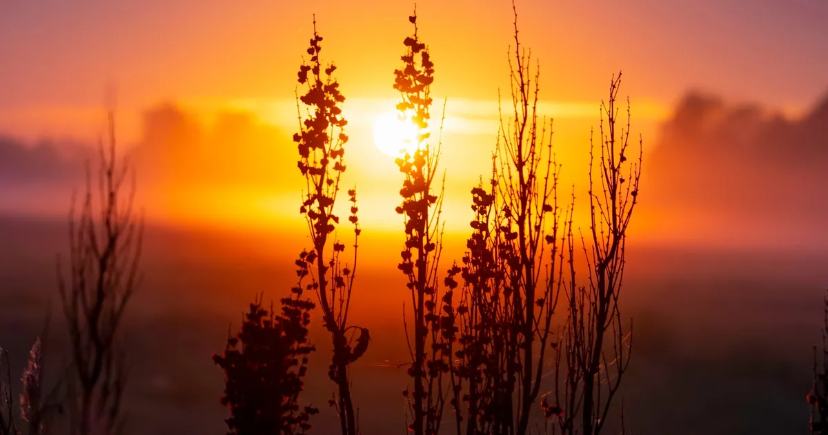 OKTOOBRI HOROSKOOP Elu läheb intensiivseks ja pöördeliseks: kuu teine ...