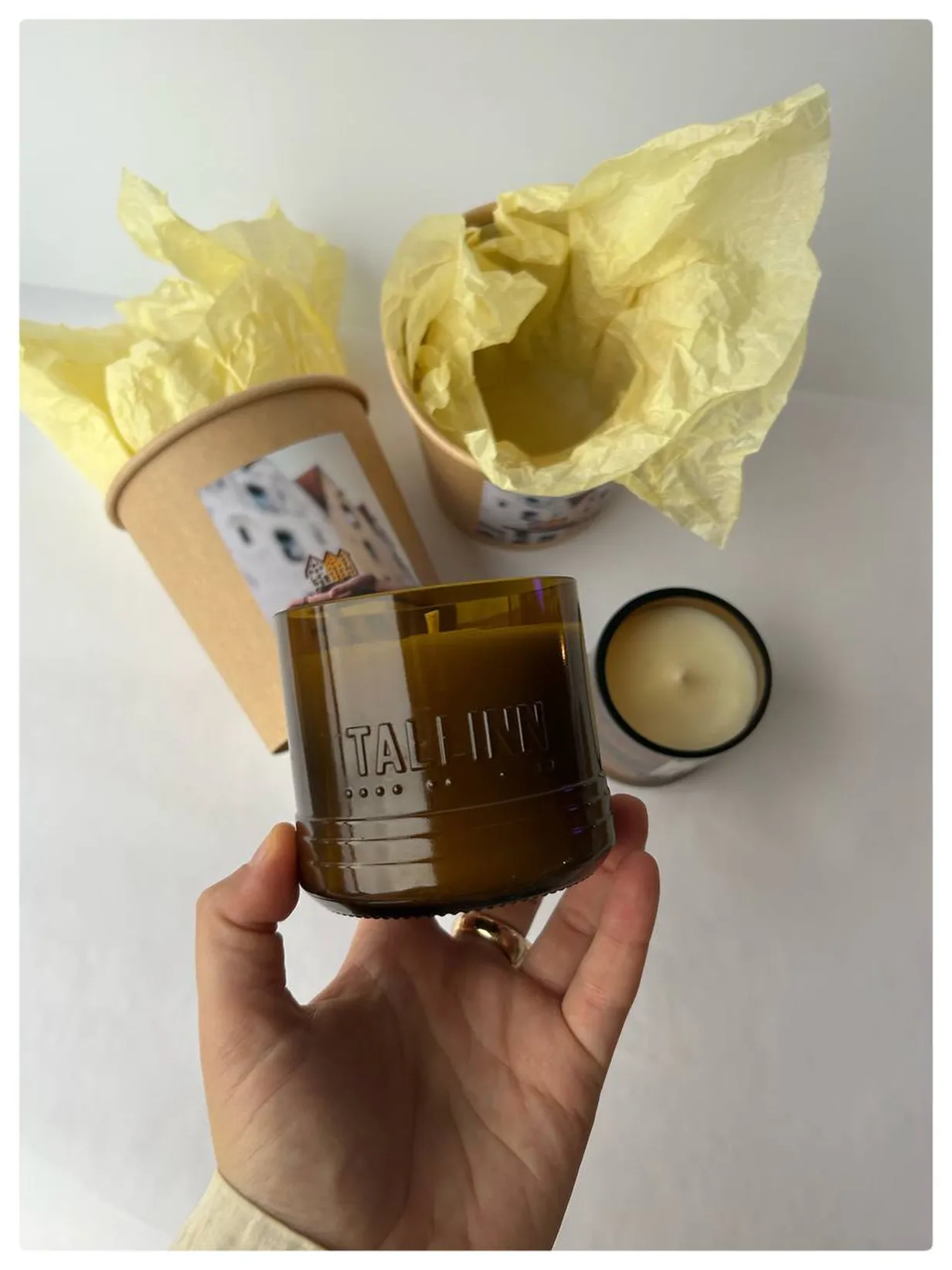 ТАКОГО ВЫ ЕЩЕ НЕ ВИДЕЛИ! Жительница Таллинна знает, что делать с ...