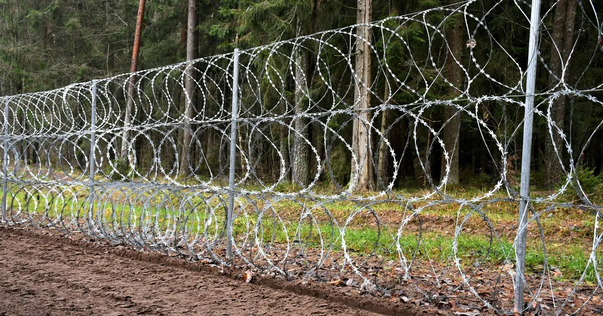 Piir langes taas surve alla