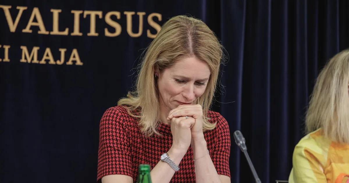 MIKK SALU Mitut erinevat julgeolekumaksu valitsus kavandab?