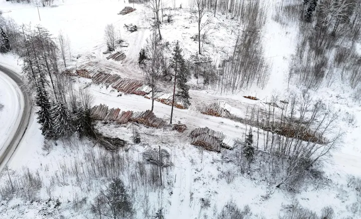 Mõisaproua pärijad vaatavad ahastuses pealt, kuidas mõisa metsa paljaks ...