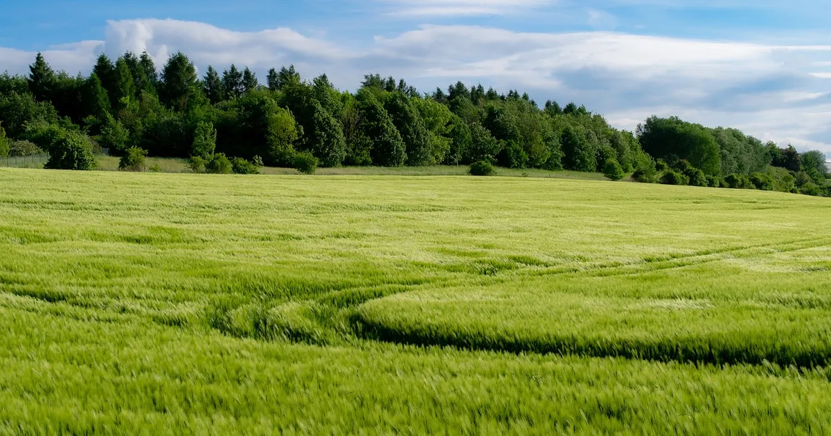 Anekdoot: kellel on suuremad maavaldused?